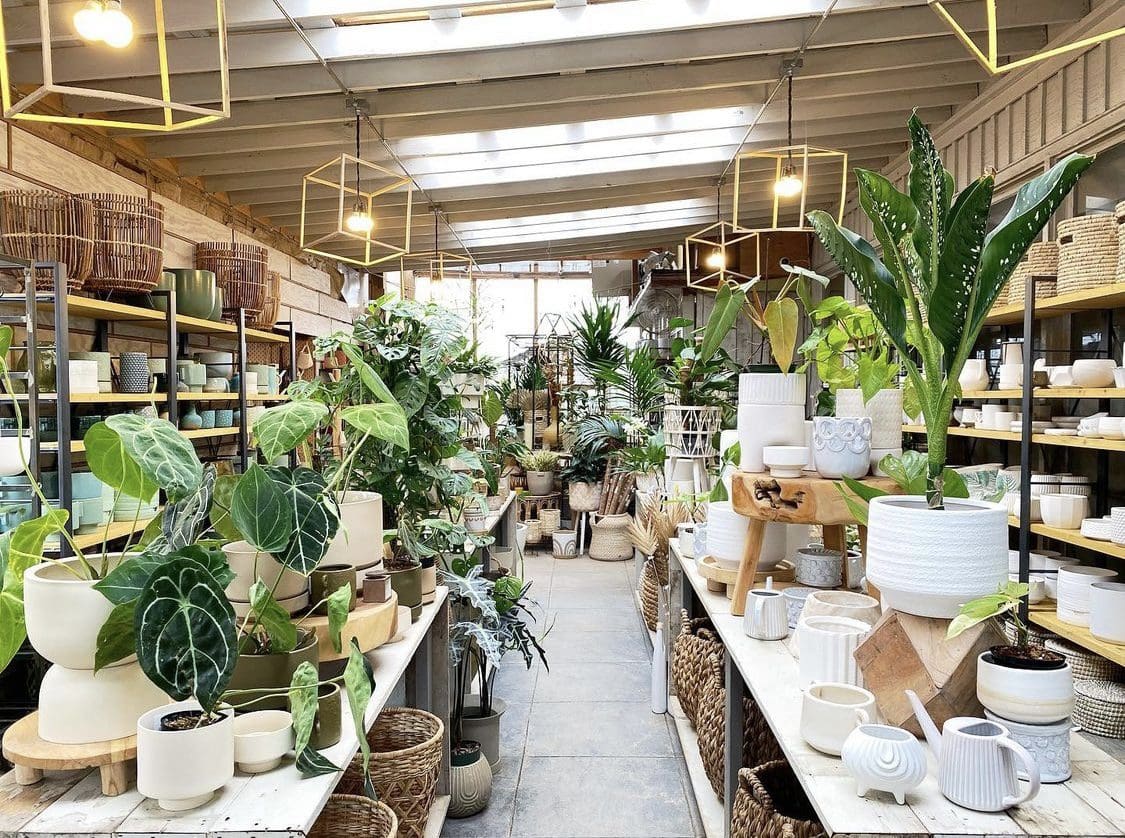 Retail Garden Center | Plant Store Franklin, TN | Plant Nursery